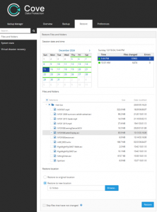COVE Backup - Deep Dive - Solidarity IT